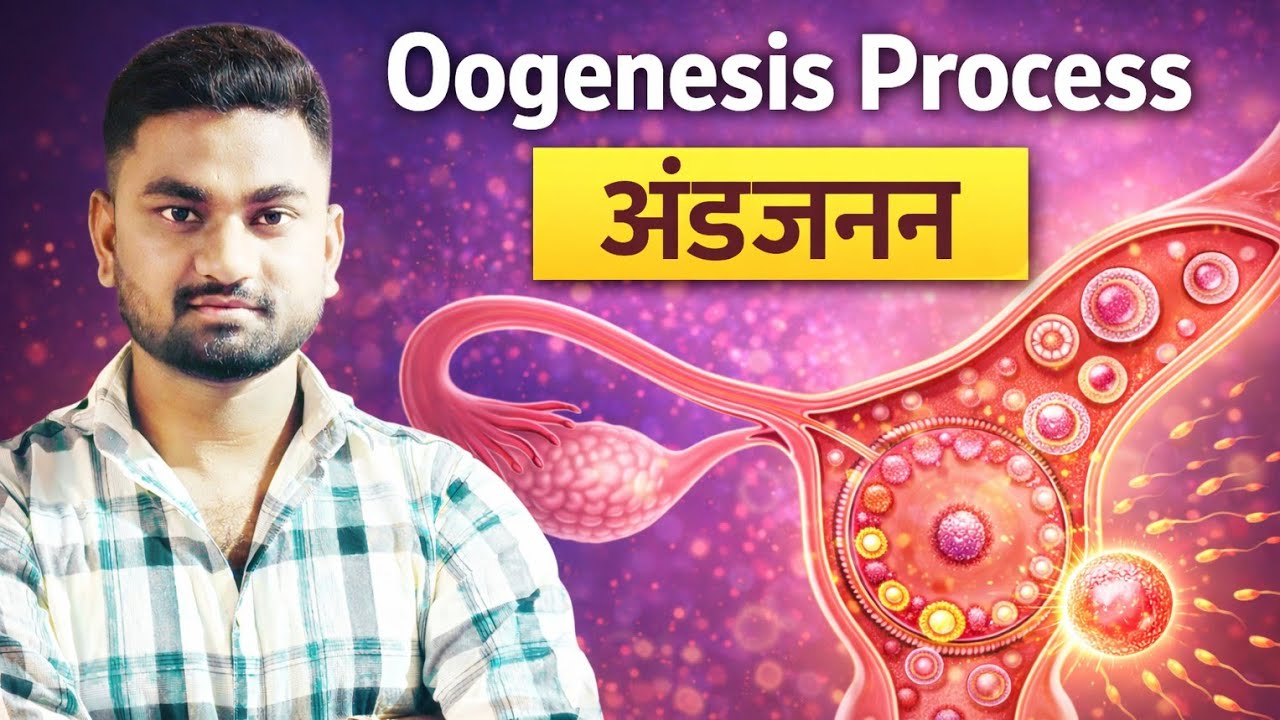 Oogenesis Process Step by Step | Class 12 Biology | अंडजनन Full ...