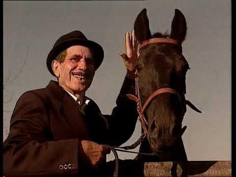 Zlatni dukati - Vranac (Official video) - YouTube