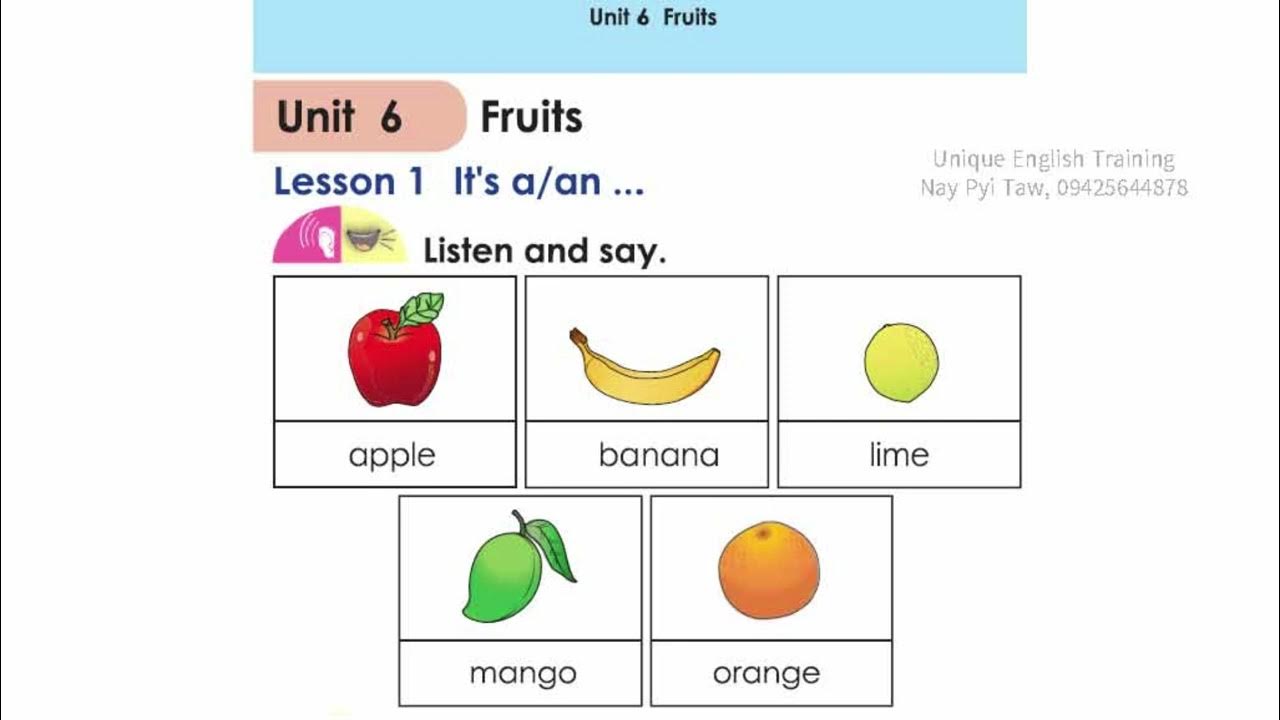 Grade 1 English အင်္ဂလိပ်စာ သင်ရိုးသစ် Unit 6 Lesson 1 Fruits လိုက်ဆိုလေ့ကျင့်ပါ Youtube