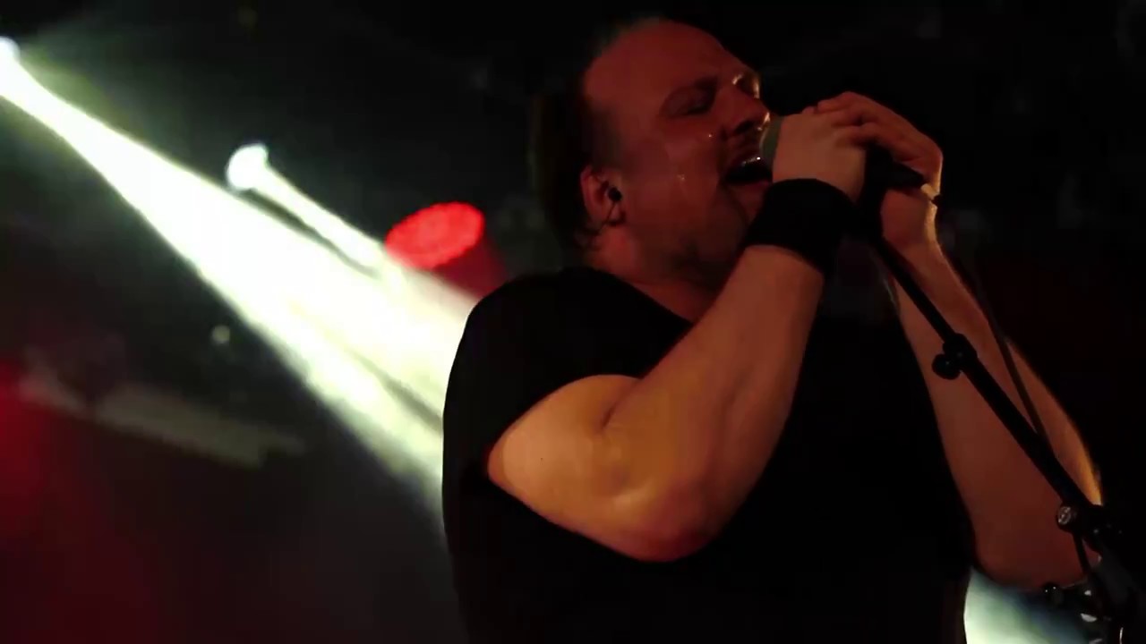 Tiger Cartel - Explode - YouTube