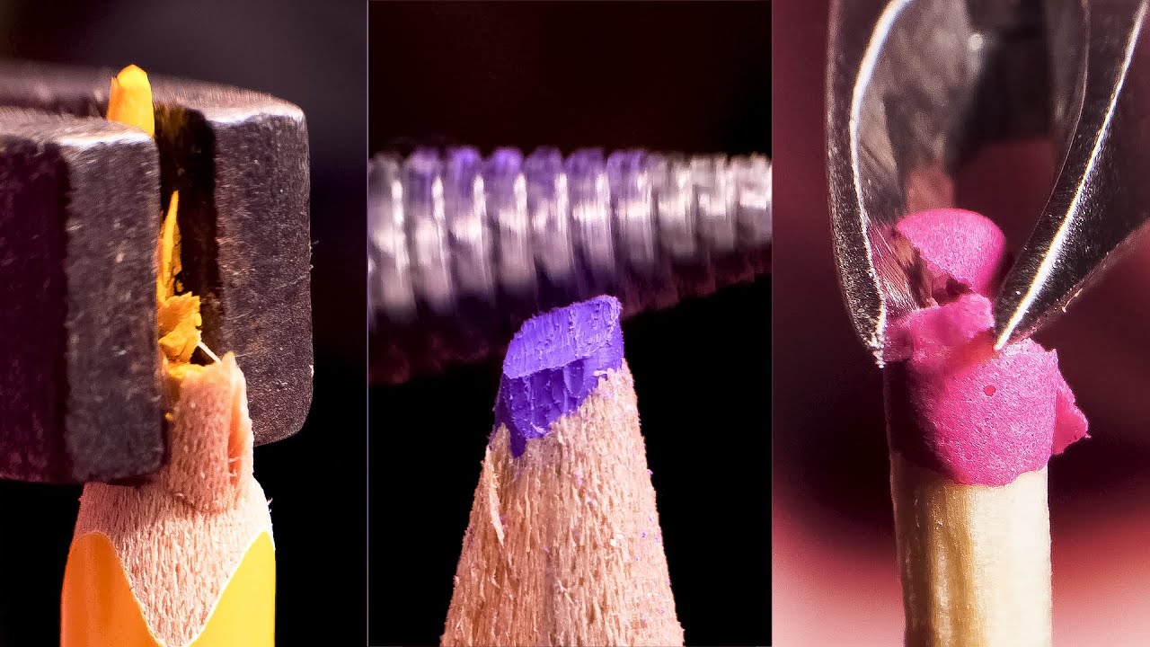 Los mejores vídeos en primer plano | Primer plano | Macro - YouTube