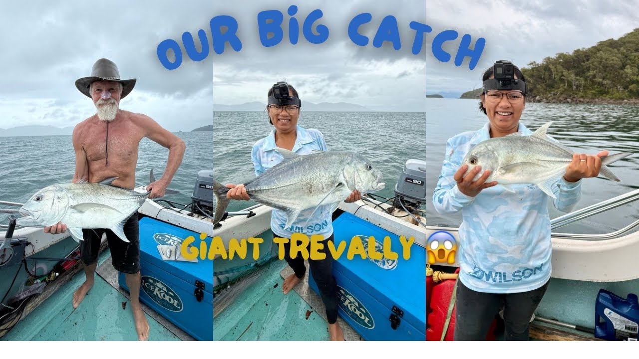 Hinchinbrook: Fishing in the rain | Catching Giant Trevally | Tuna ...