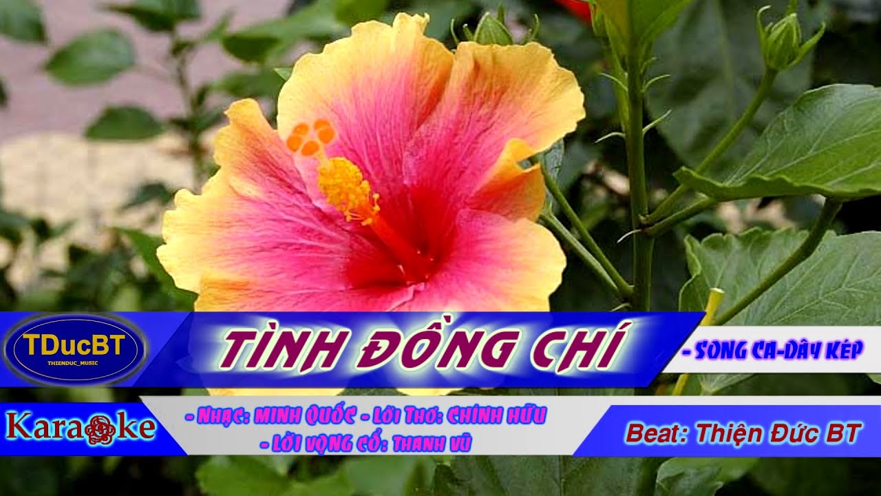 TÌNH ĐỒNG CHÍ //KARAOKE//TÂN CỔ//SONG CA DÂY KÉP//BEAT HAY//Thien Duc MUSSIC - YouTube