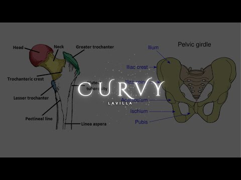 [REQUESTED] Curvy : Widened Trochanter & Hips; narrow ilium|⚠️Stubborn Mind Override 🔥 [500x Faster]