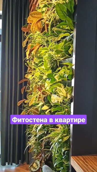 Фитостена из 152 живых растений #фитостена #дизайнинтерьера #fitoctena ...