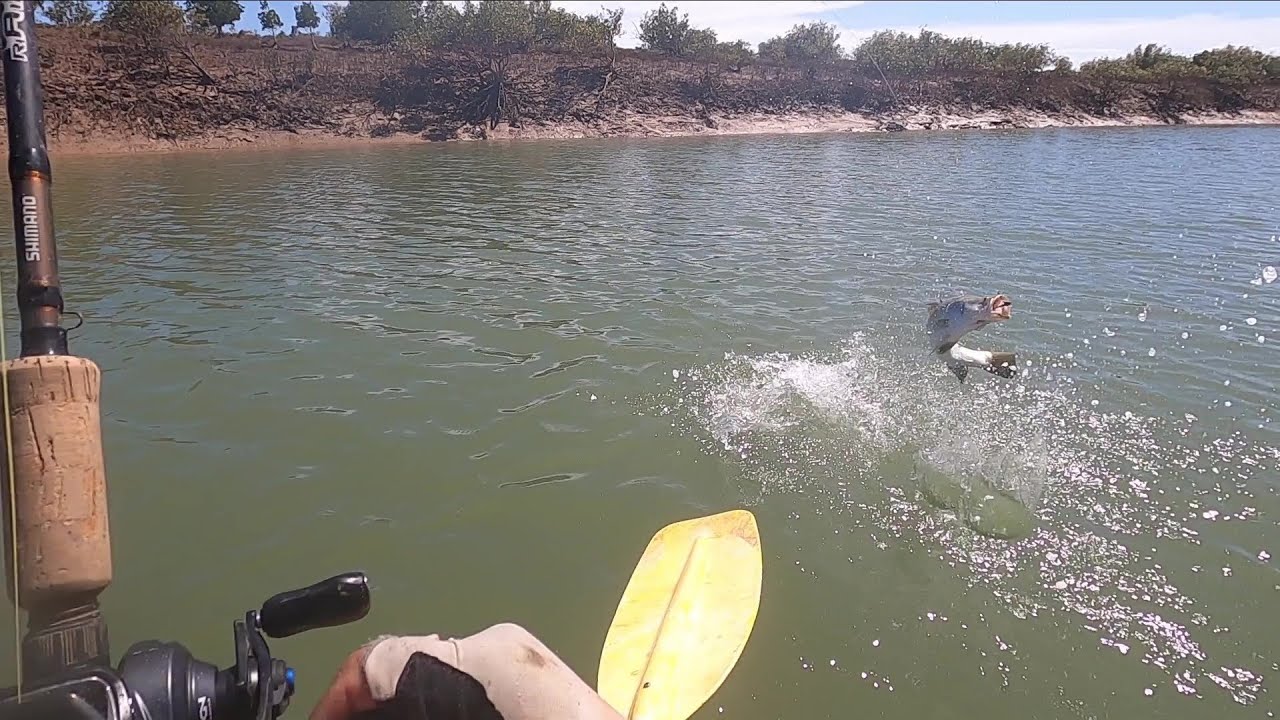 KAYAK SALTWATER CREEK FISHING - Pilbara Region Western Australia - YouTube