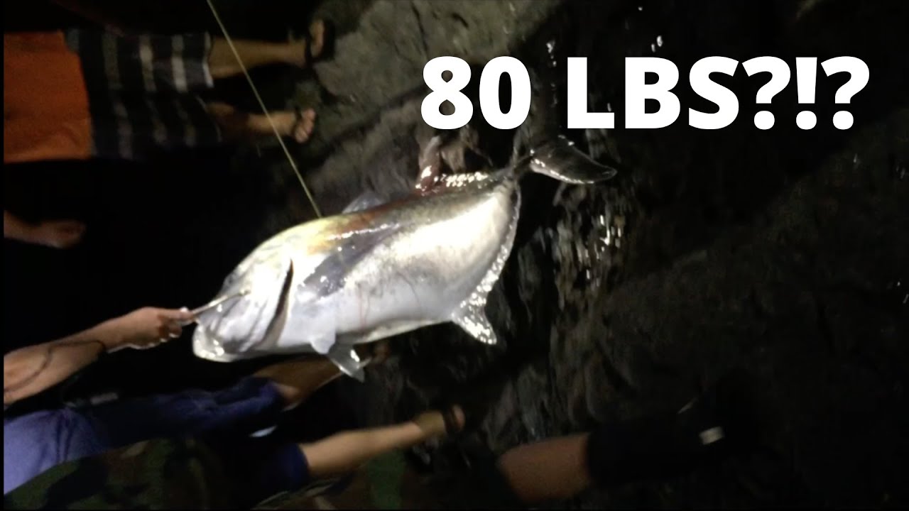 Ulua Fishing Hawaii - Giant Trevally - YouTube