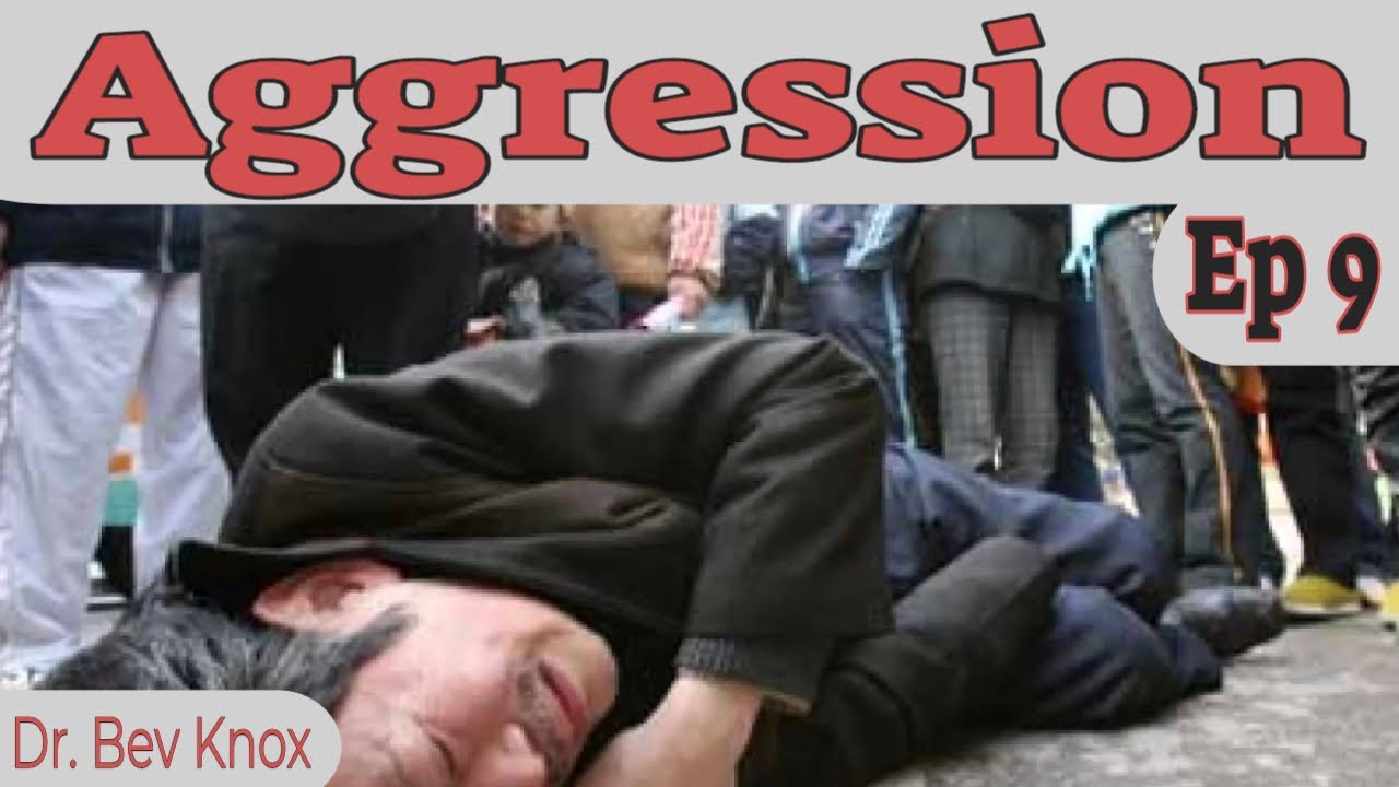 Ep 9 - Interpersonal Aggression ~ Causes & Interventions - YouTube