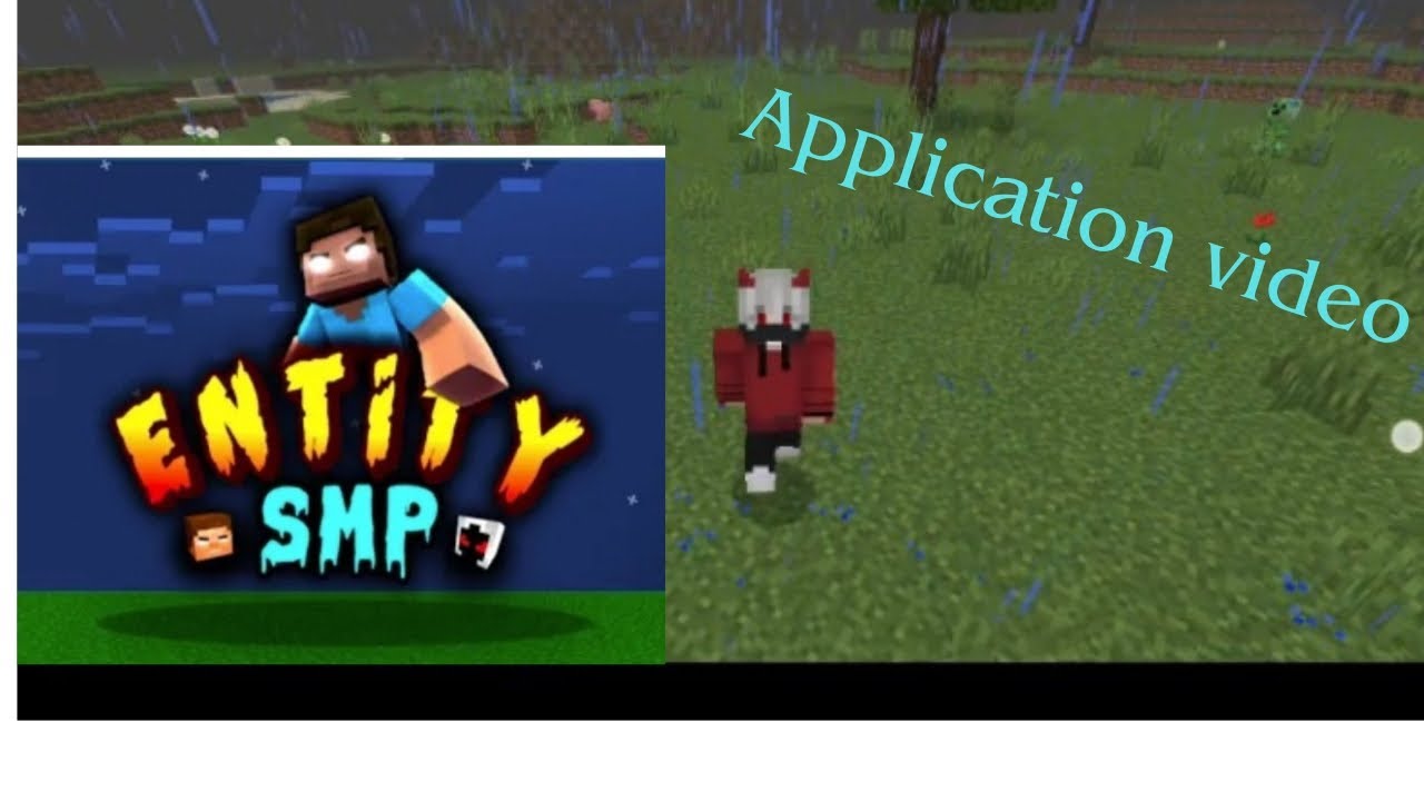 Am i selected for Entity Smp??,Application for Entity smp #skellybd # ...