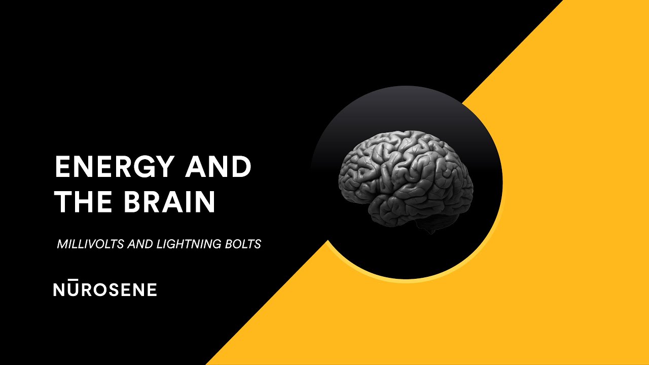Energy and the Brain: Millivolts and Lightning Bolts | Nurosene - YouTube