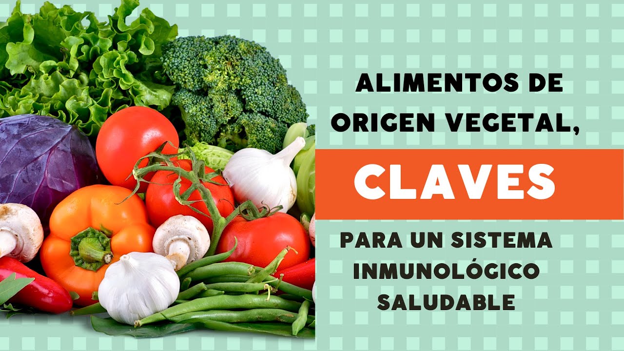 Alimentos de Origen Vegetal - YouTube