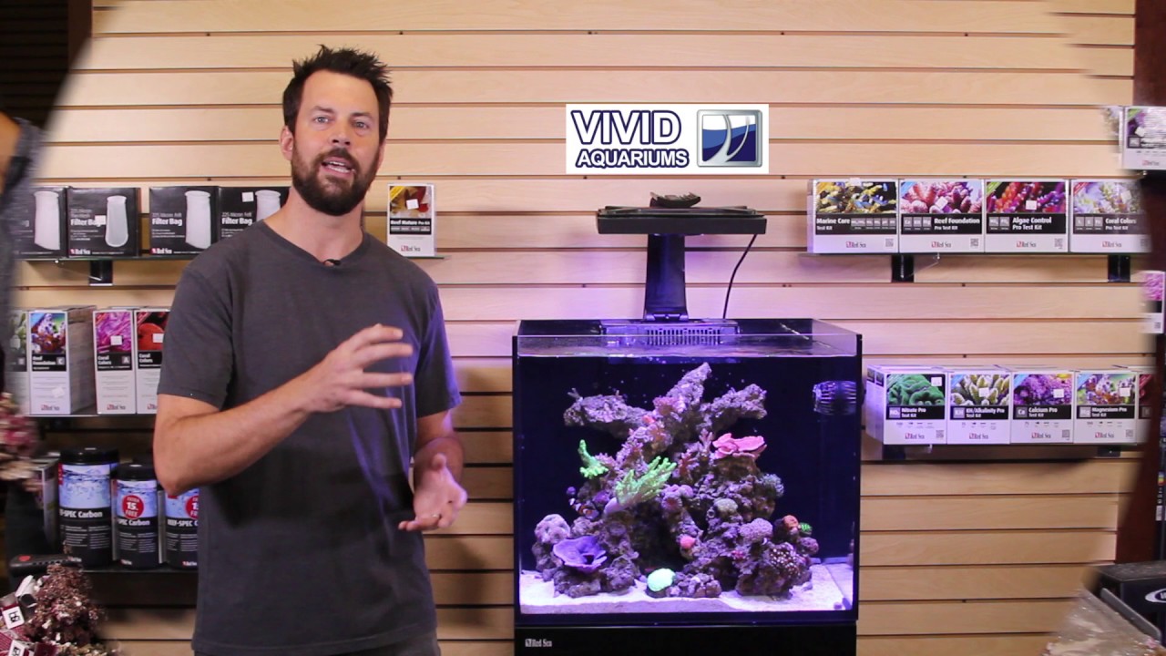 Red Sea Reefer pt21: Final Summary - YouTube