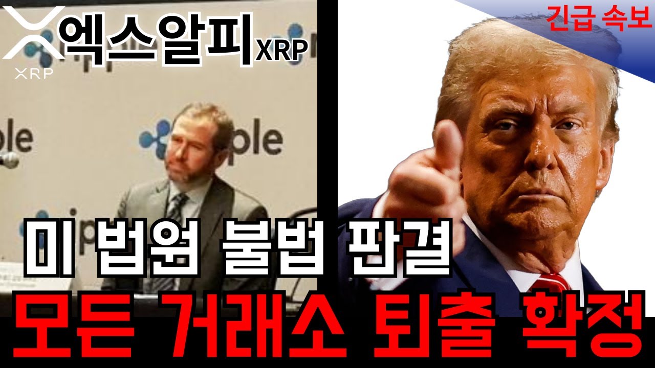 리플 Xrp 불법 판결 모든 거래소 퇴출 확정 엑스알피 Xrp 리플 리플전망 리플분석 리플코인