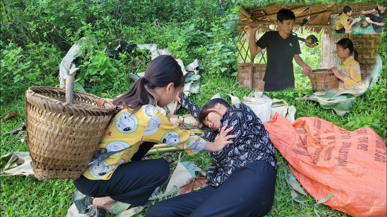 Full video of the poor girl going to harvest agricultural products and ...