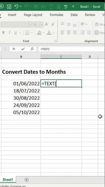 Convert Date into a Month TEXT Formula - YouTube