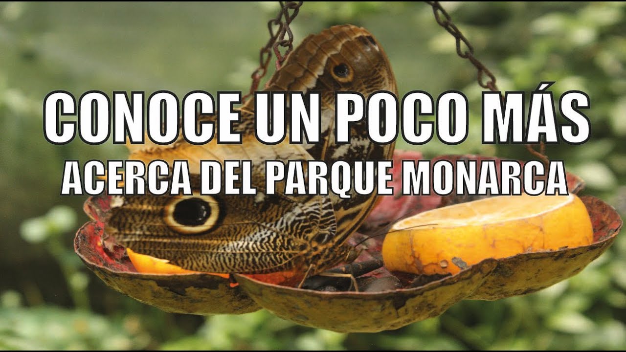 CONOCE UN POCO MÁS DEL PARQUE MONARCA UBICADO EN TENJO CUNDINAMARCA ...