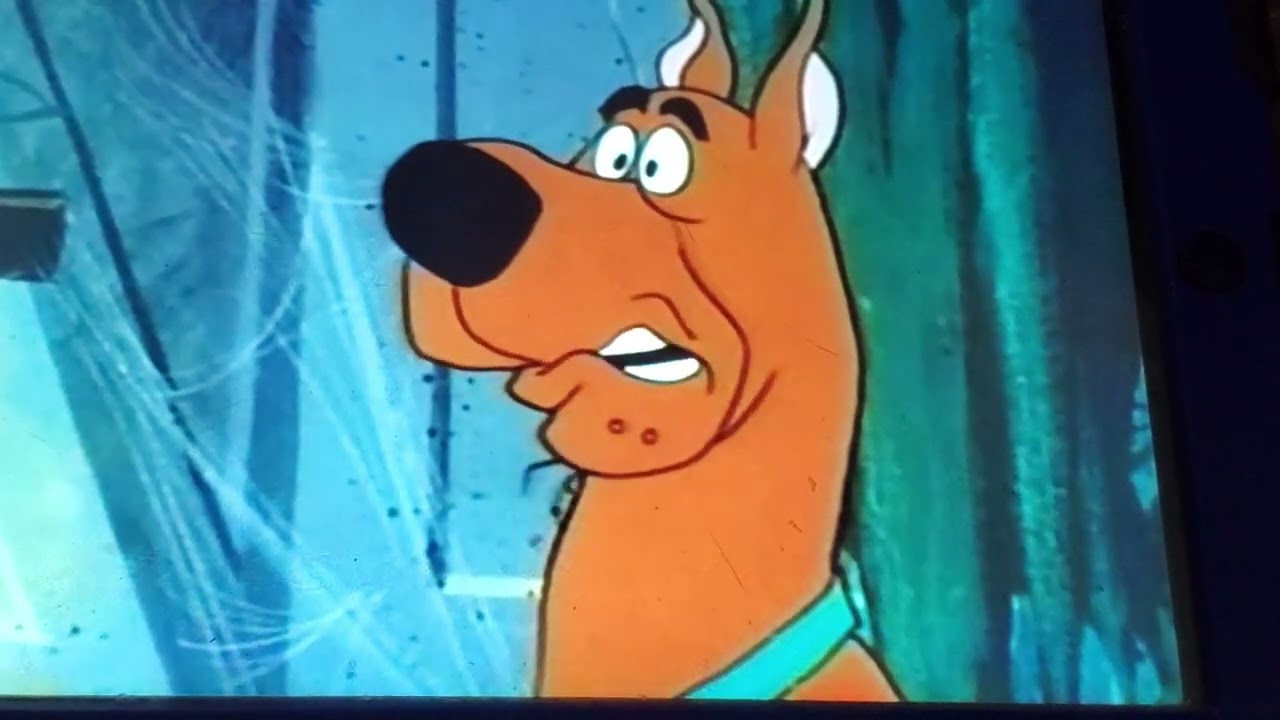 Scooby Doo teeth chattering SFX from a night of fright is no delight ...