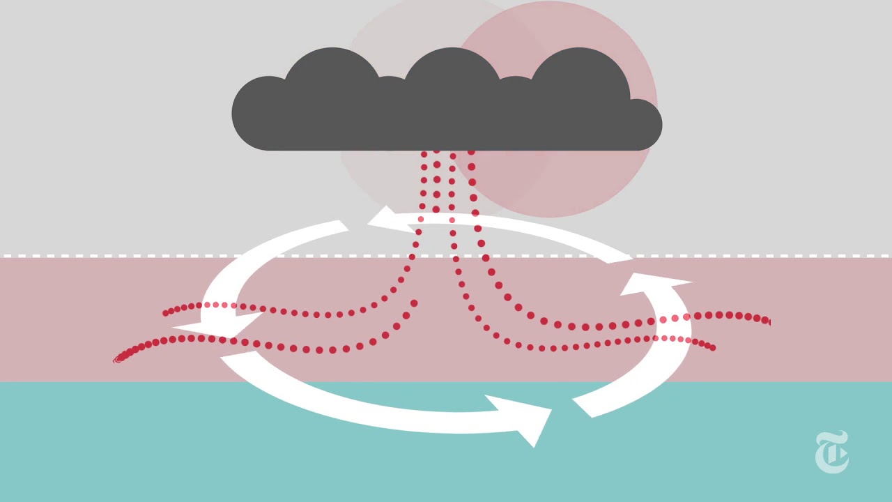 How Do Hurricanes Happen? | Science & Life - YouTube