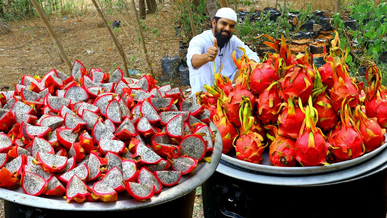 Dragon Fruit Halwa Recipe || Very Easy and Tasty Dragon Halwa Recipe ...