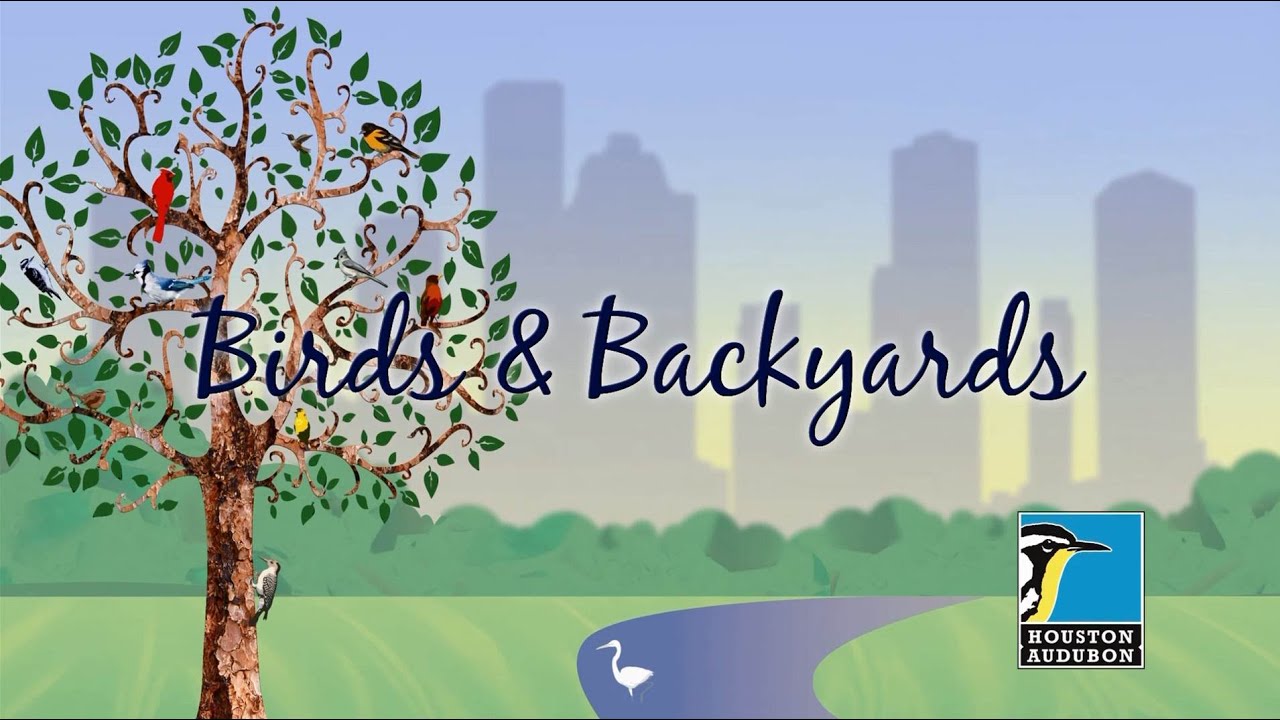 Houston Audubon Bird-friendly Communities Kickoff - YouTube