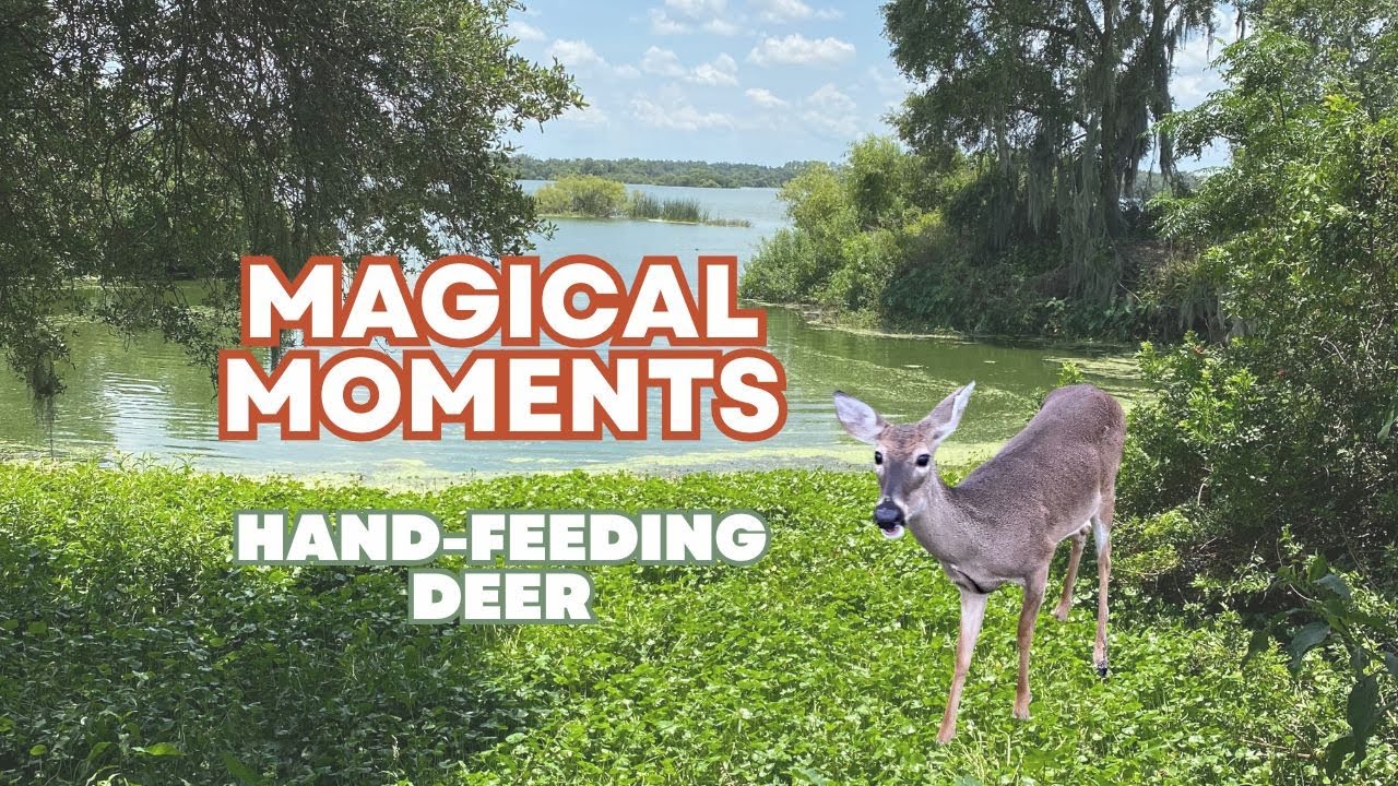 We Couldn't Believe our LUCK! | Florida Road Trip Part 2 - YouTube