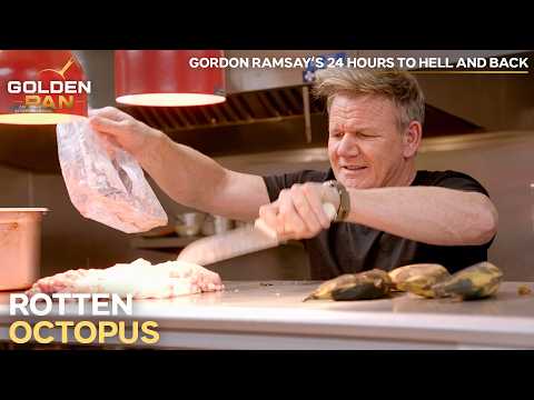 Gordon Ramsay Finds Rotten Seafood In $2M Restaurant | Gordon Ramsay's 24 Hours To Hell And Back