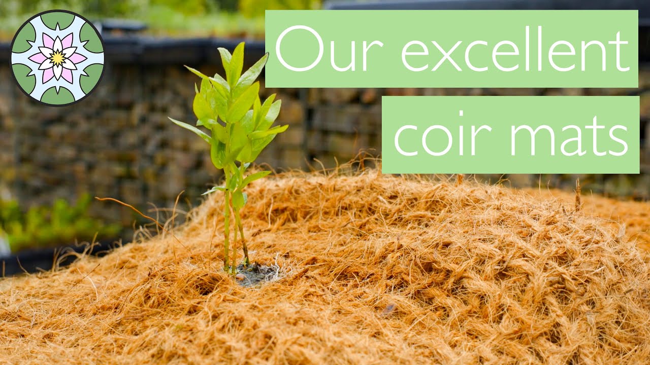 British Pond Plants' coir mats and plug plants. Great product, as ...
