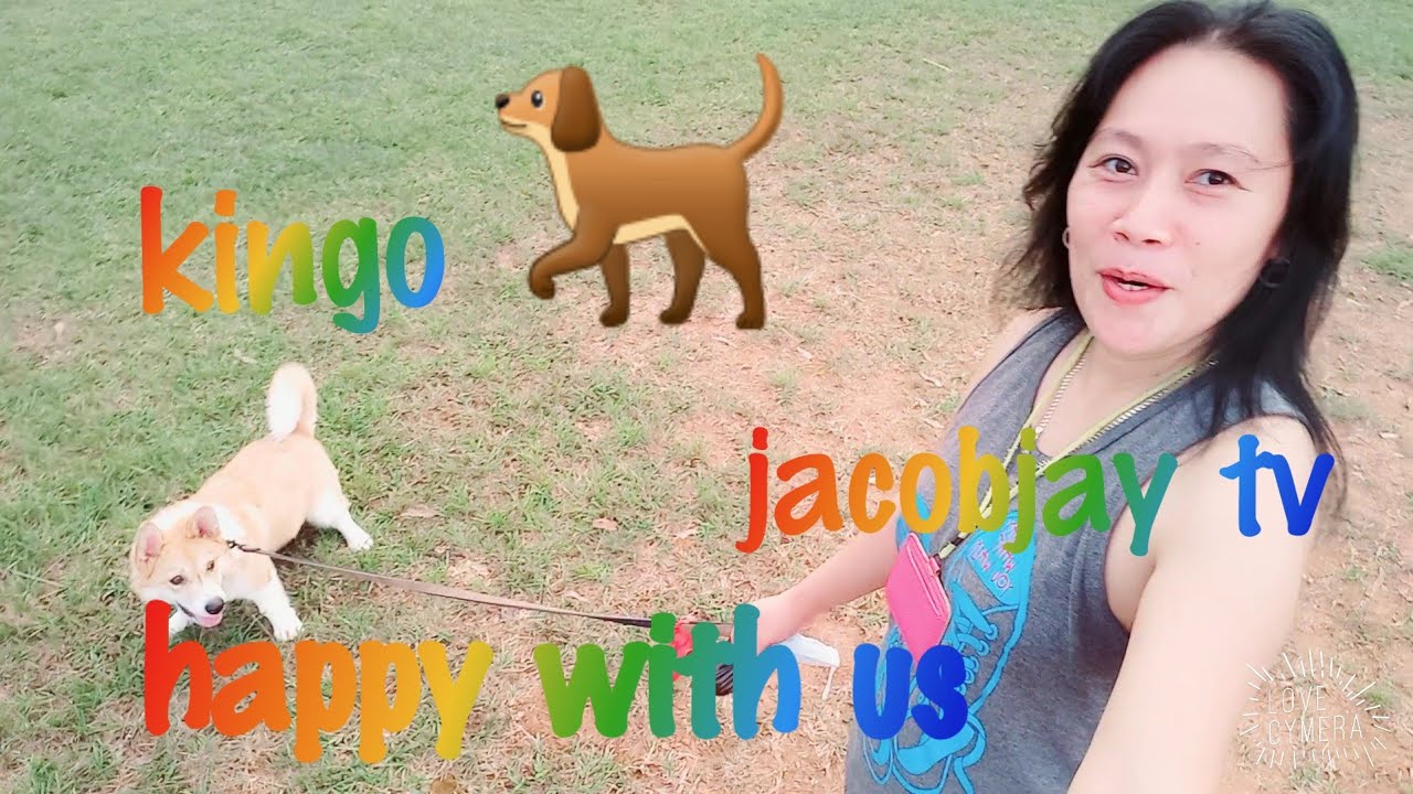 WALKING THE BIG GROUND ON THE FRONT OF CONDO/KINGO/MEME/JACOBJAY TV ...