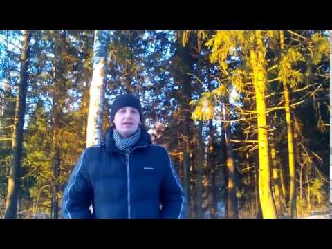 Стихотворение о матери (Андрей Сорокин - поэт)