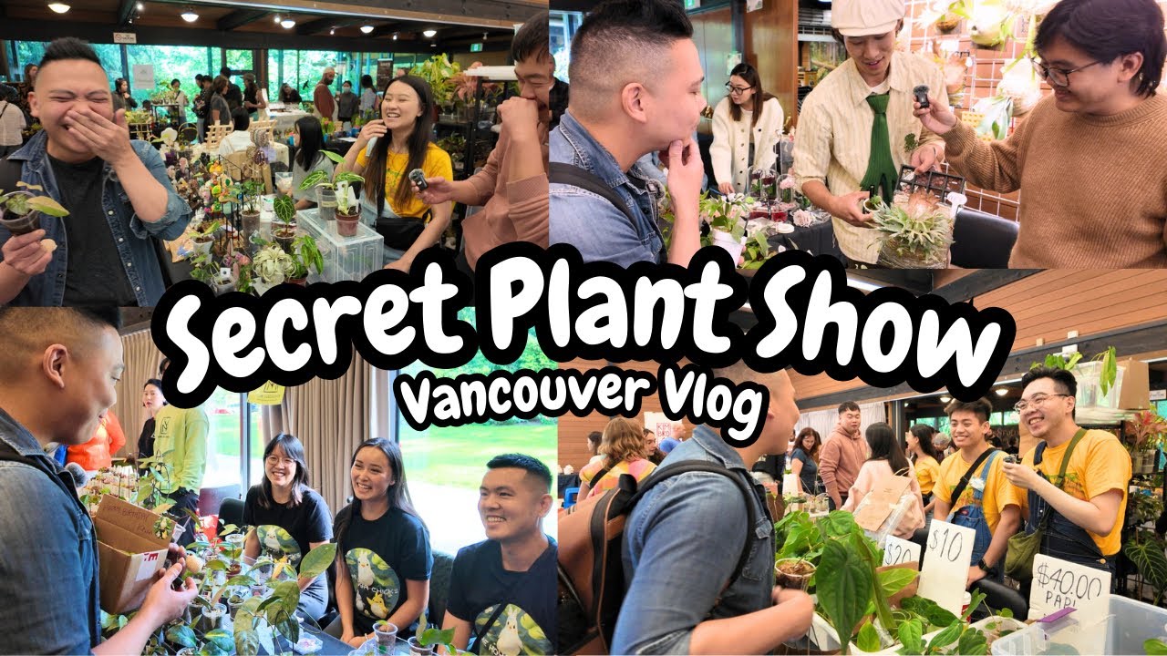 secret plant show 🌱 anthurium, hoya, monstera, platycerium ...