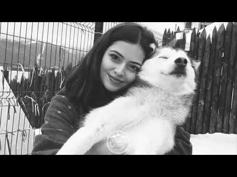 Yeni Lay-lay - canaya canaya