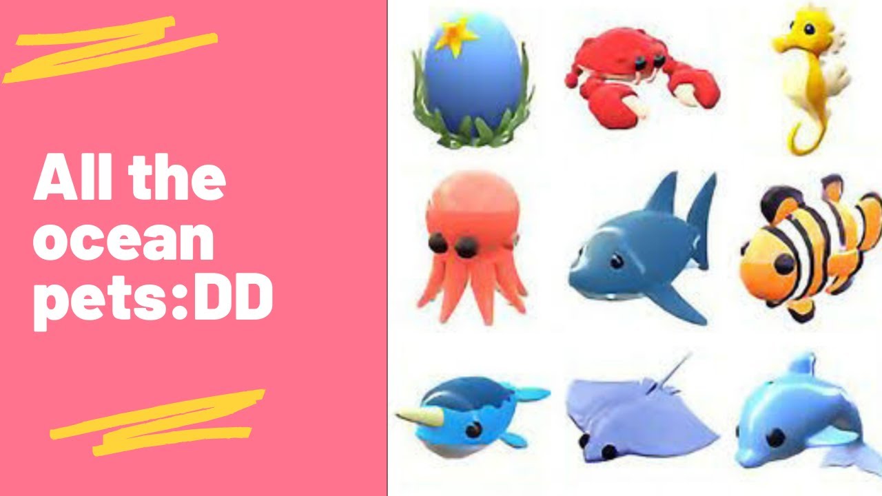 All the ocean pets :D - YouTube