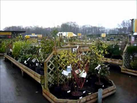 Longacres Garden Centre - YouTube