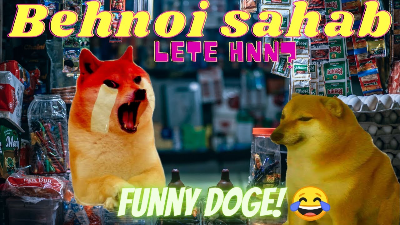 Behnoi sahab Doge ft.Robin Doge Thanos Doge - YouTube