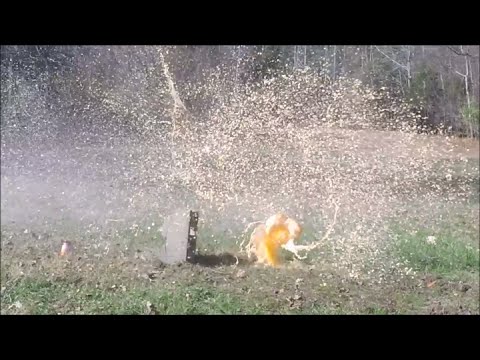 50 AE Desert Eagle vs Sodas