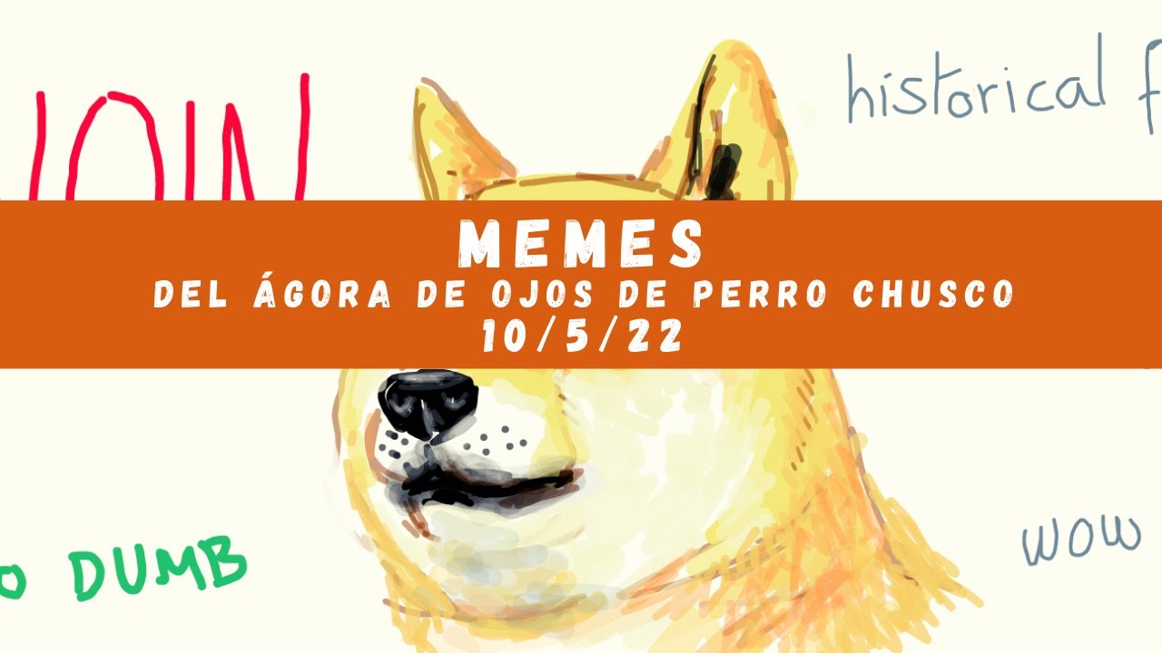 Memes del Ágora de Ojos de Perro Chusco I - YouTube