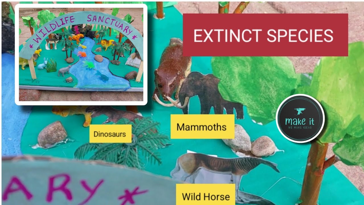 Wildlife sanctuary Model | Forest model | Endangered And extinct ...