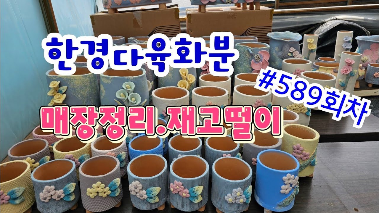 2024년 8월 9일589회차영상 한경다육화분 수제공방분 공방분 다육화분 화분 다육이 다육식물 한경화분