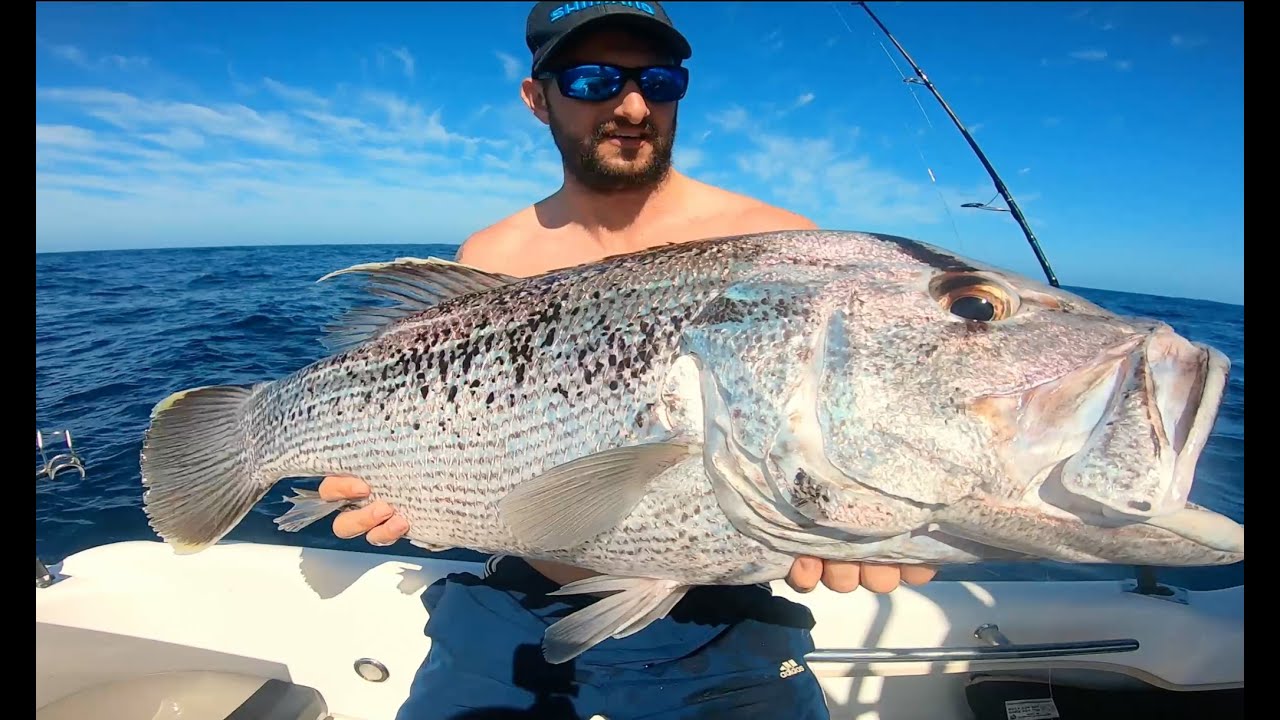 Fishing Western Australia | Big Dhufish and snapper - YouTube