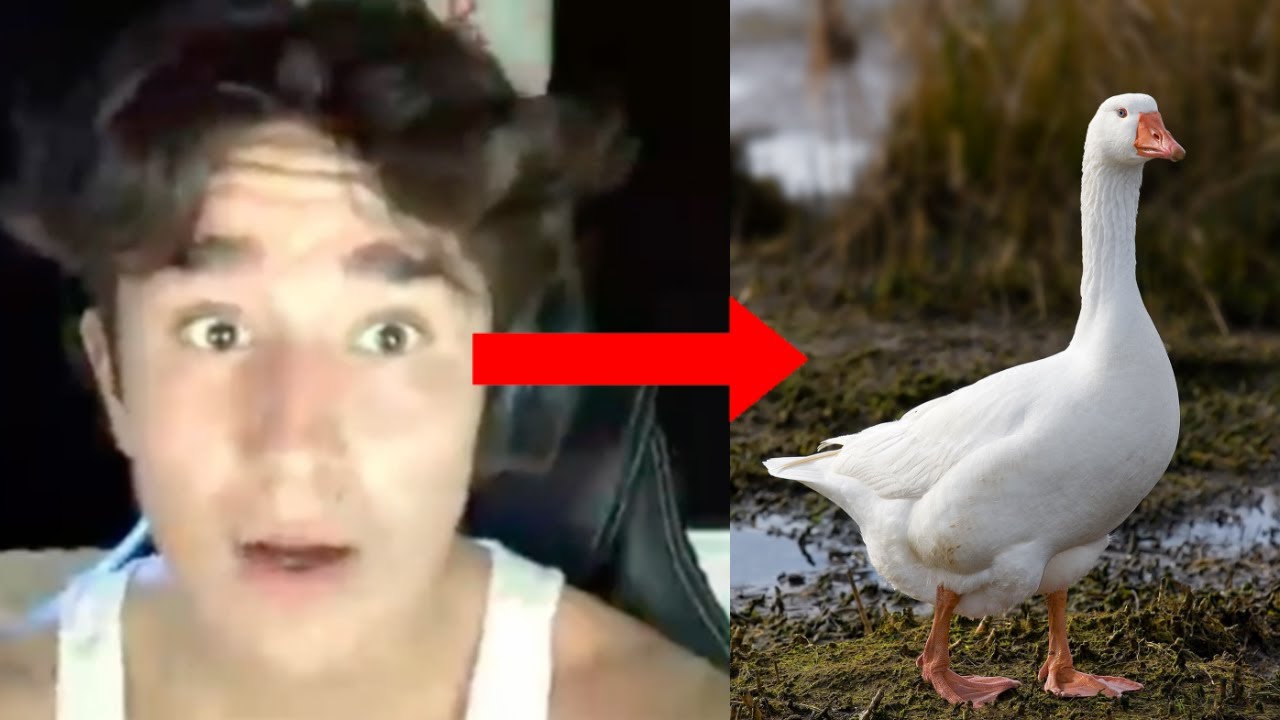 Sammical turns into a goose - YouTube