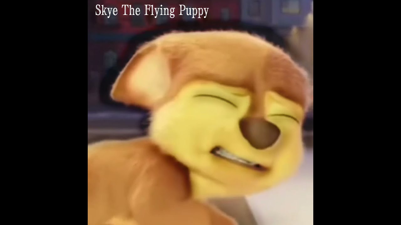 Paw Patrol The Movie Chases Backstory Bored Youtube