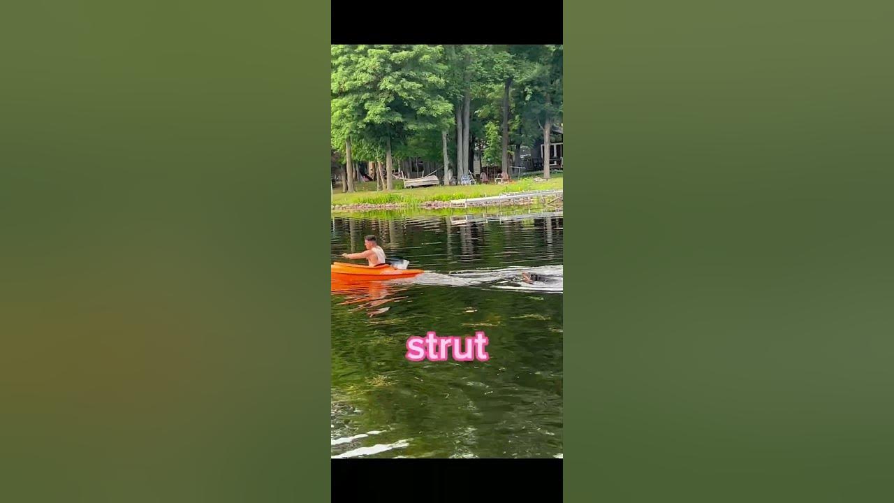My Dog Always Thinks We re Drowning dogsofyoutube dogs dogshorts my-dog-always-thinks-we-re-drowning-dogsofyoutube-dogs-dogshorts