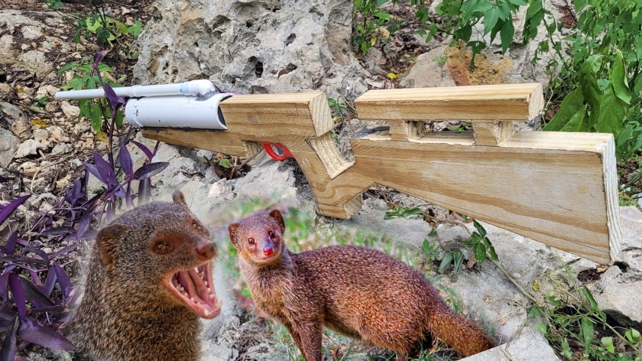 First K!ll Shots With This New Air Rifle/Marble Gun - YouTube