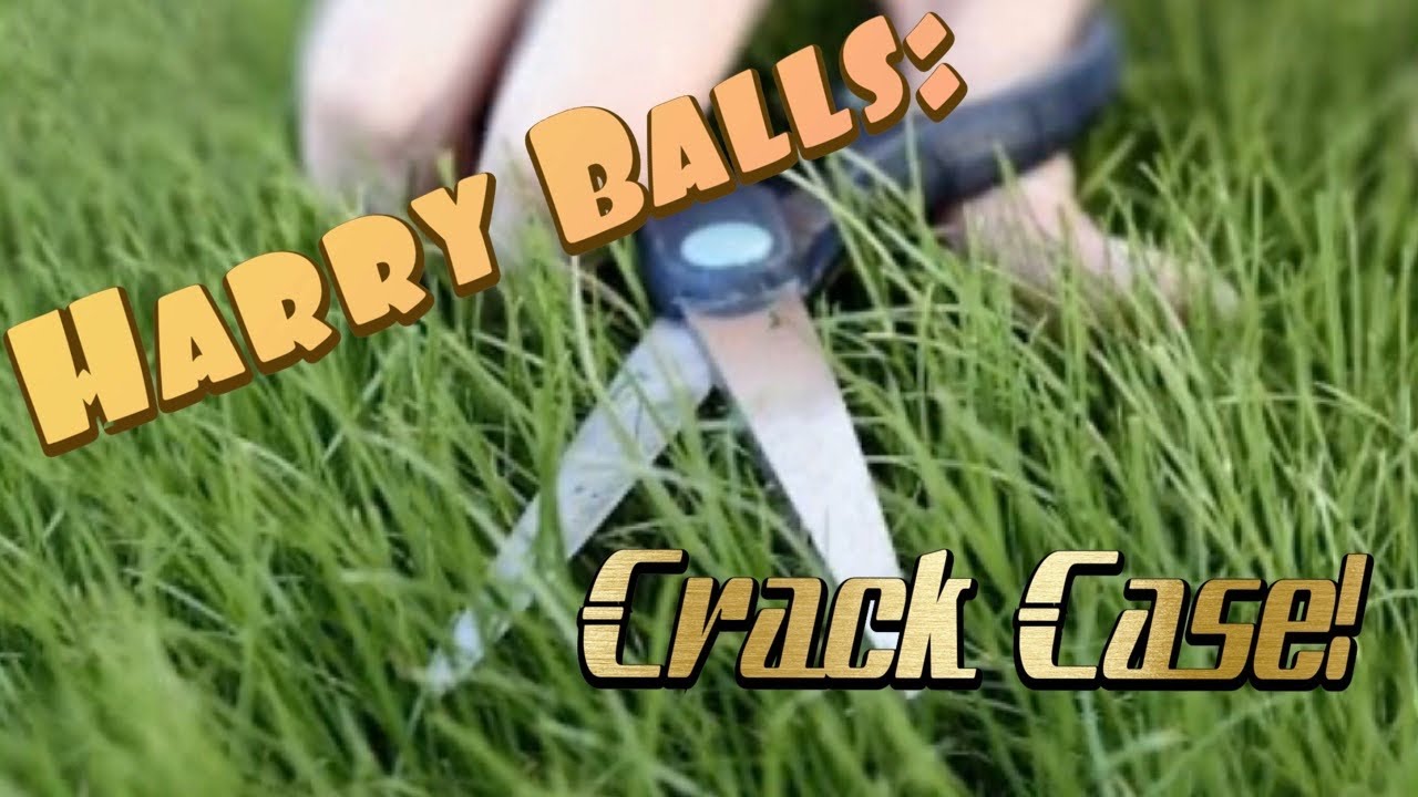 Prank Call to HARRY BALLS # 1 ! - YouTube