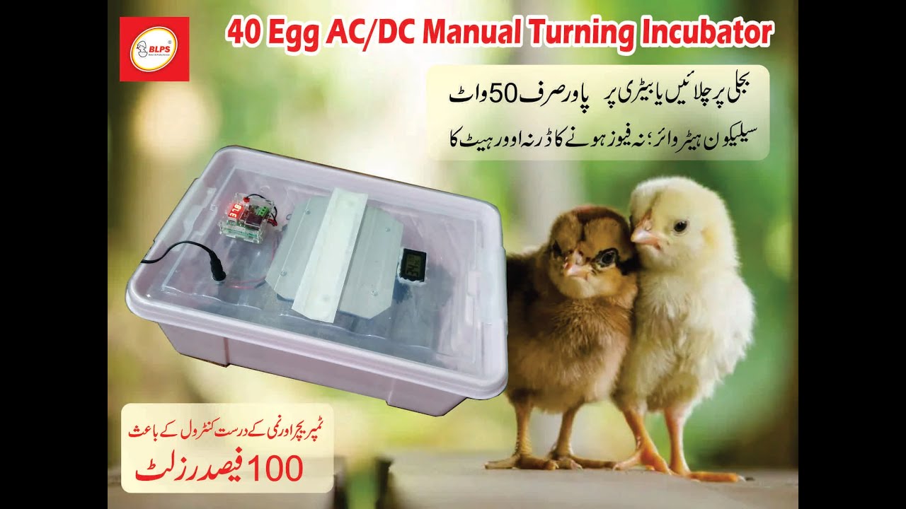40 Chicken Egg AC/DC Manual Turning Machine New Model - YouTube