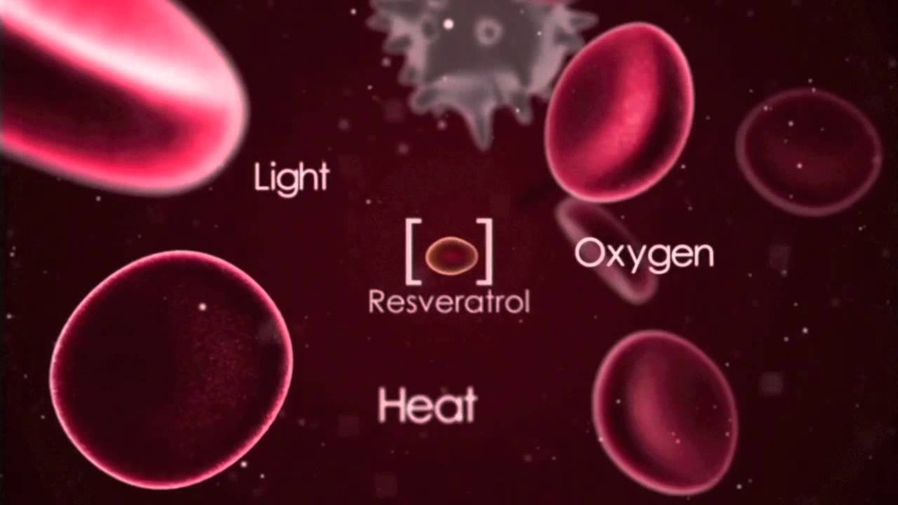 Sisel Oregon- Eternity with Resveratrol - YouTube
