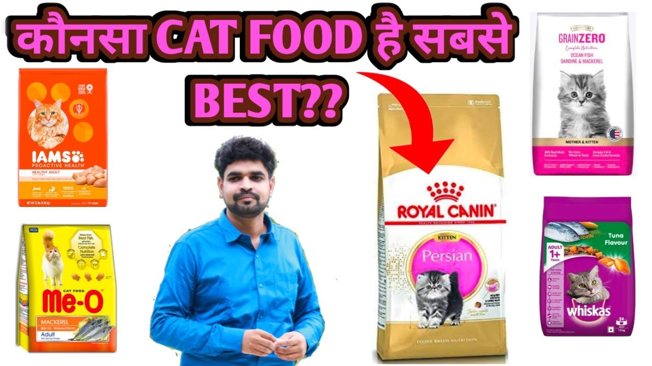 All Cat food reviews | Best Cat food | pocket friendly cat foods in ...