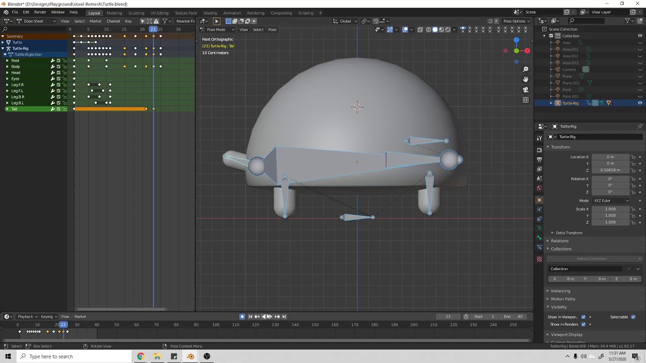 Turtle Animation Process - YouTube