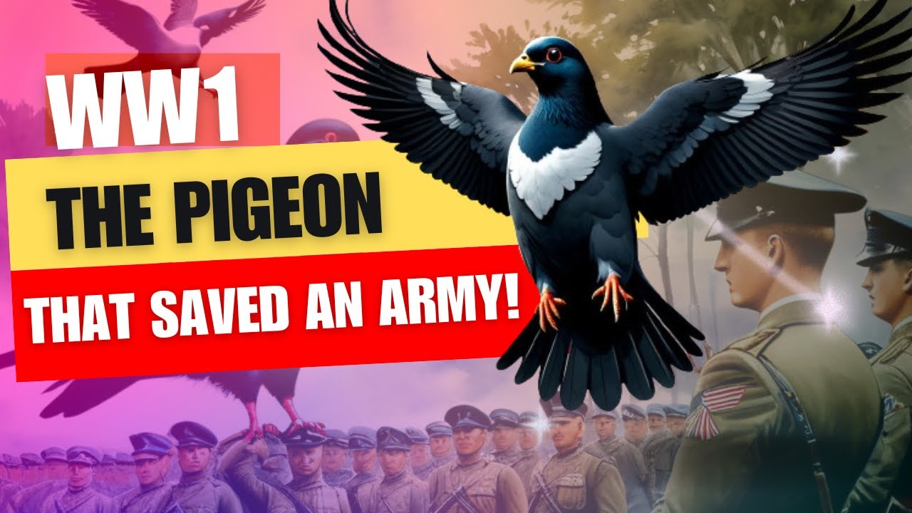 Heroic Homing Pigeon of World War I Military History & Animal Heroes” A ...