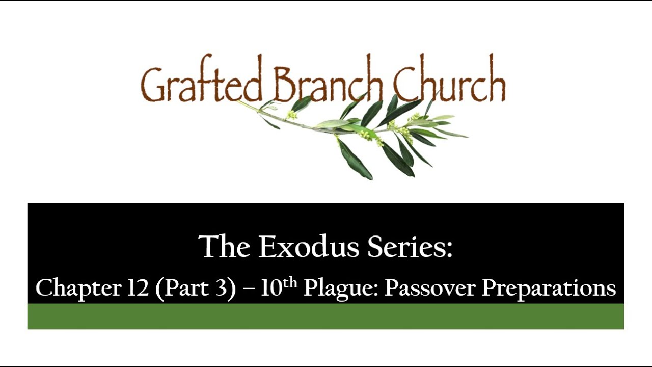 Exodus Series: Chapter 12 (Part 3) - Passover Preparations - YouTube